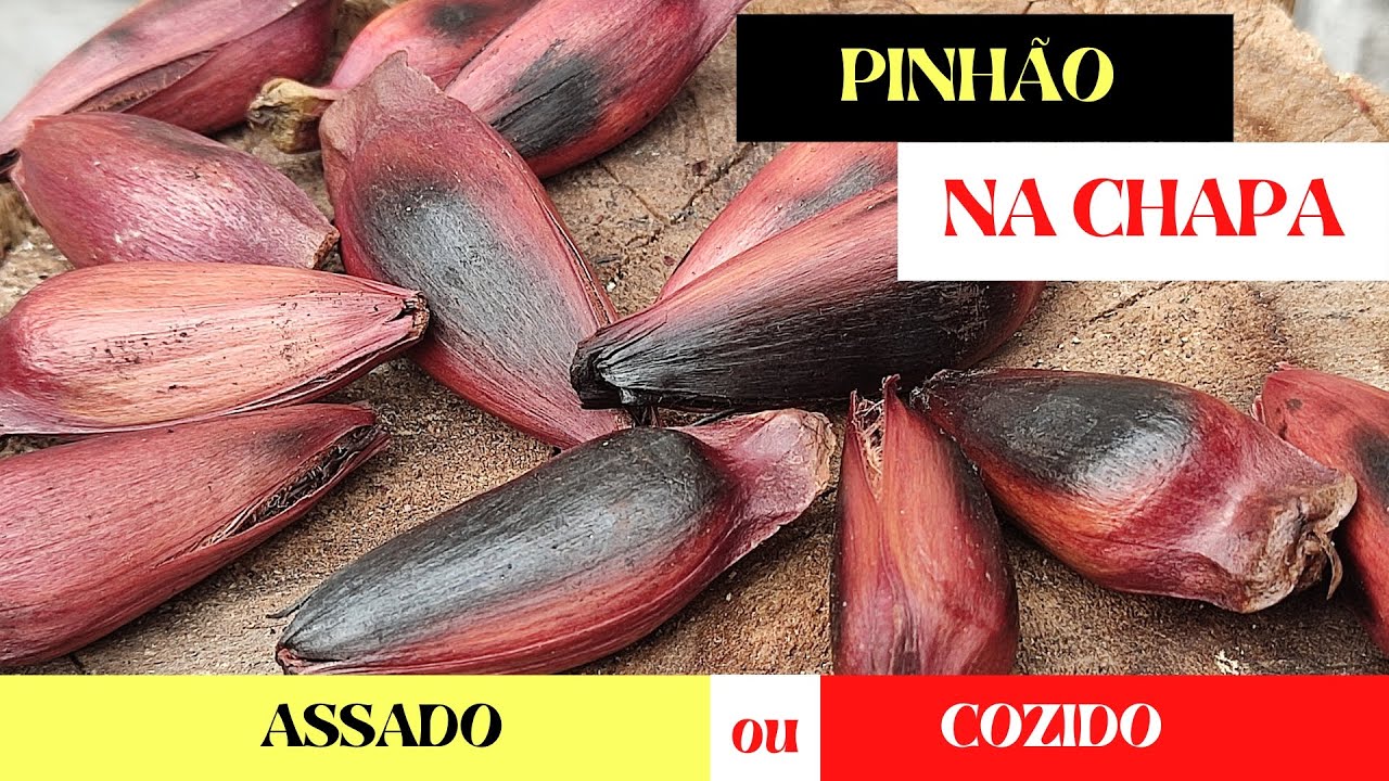 PINHÃO ASSADO NO FOGÃO À LENHA - VOCÊ GOSTA DE PINHÃO? ASSADO OU COZIDO ...
