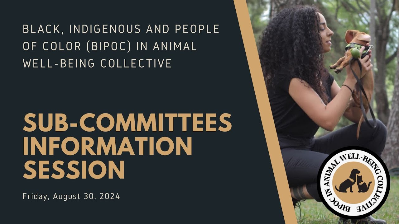 Sub-Committees Information Session - BIPOC in Animal Well-Being Collective - YouTube
