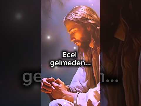 Münafikün/ 11 | Kur’an-ı Kerim Ayetleri | Her Gün Bir Ayet | Kısa ve Anlamlı #quotes #motivation