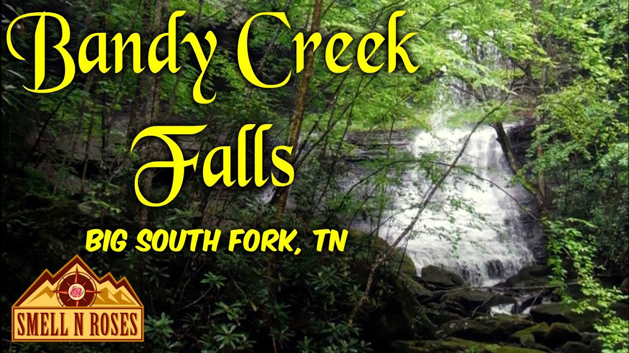 Bushwhacking Bandy Creek Falls at Big South Fork, Tennessee - YouTube