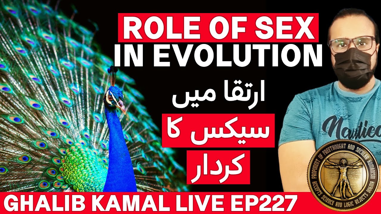ROLE of SEX in EVOLUTION | Ghalib Kamal Live Ep227 - YouTube