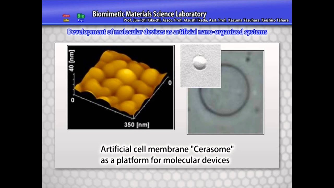 Biomimetic Materials Science 2013 - YouTube