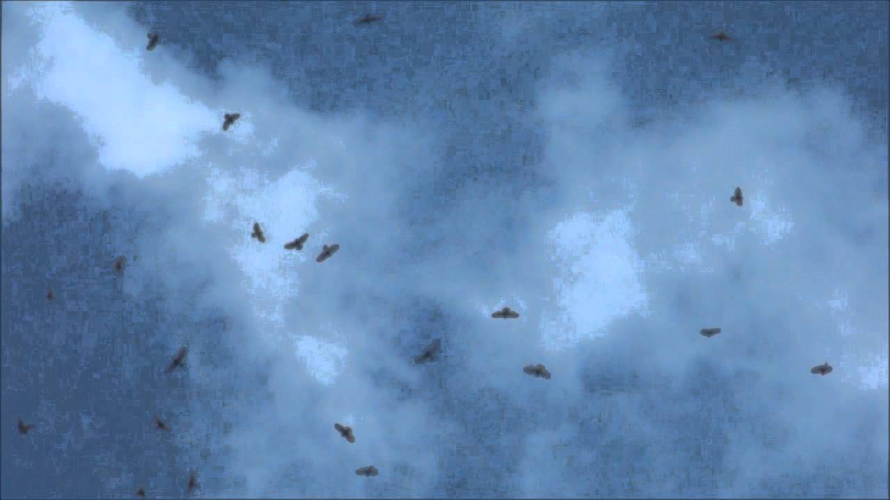 Hawk Watch at Pointe Mouillee State Game Area - Michigan - YouTube