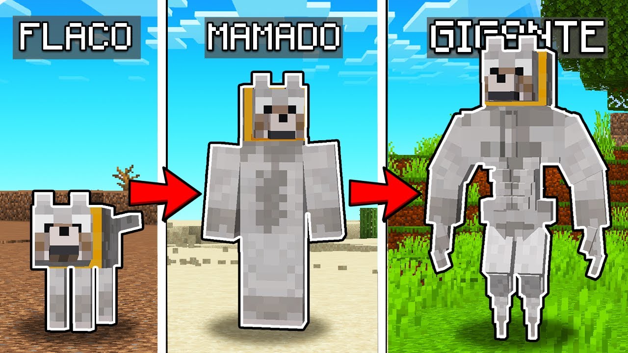 Mi Lobo Se Puso MAMADISIMO En Minecraft! - YouTube