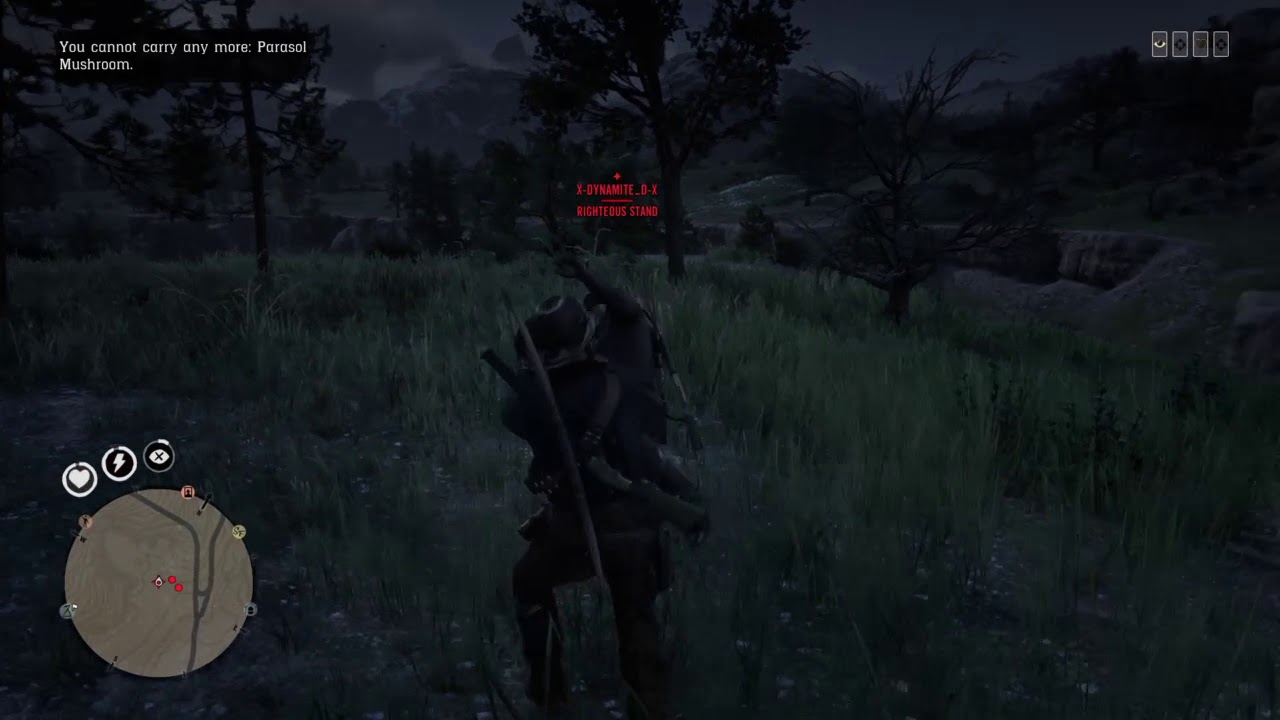 Red Dead Redemption 2: Jumped by Anna the Acrobat - YouTube