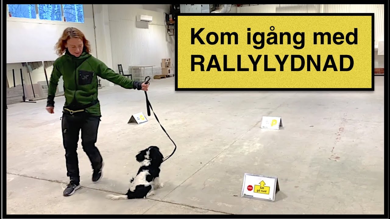 Kom igång med rallylydnad - YouTube