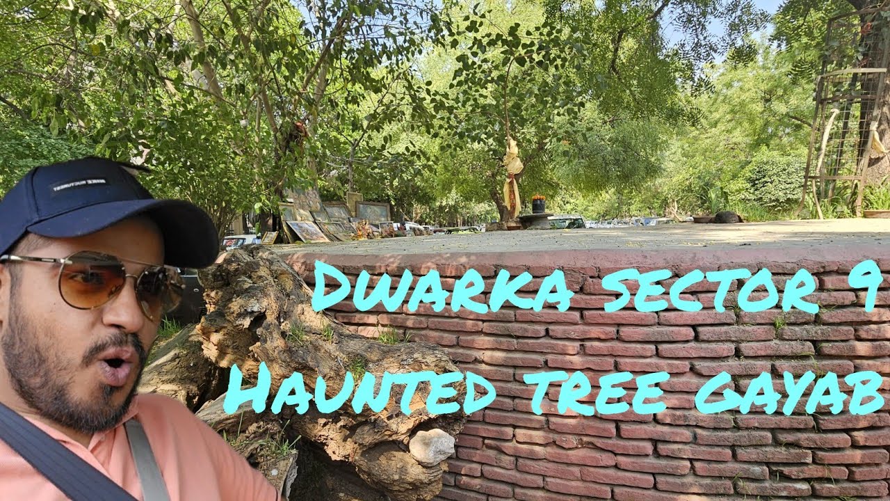 Solo Trip ki Packing done😍 / Haunted tree dwarka sector 9 ka tree kaat ...
