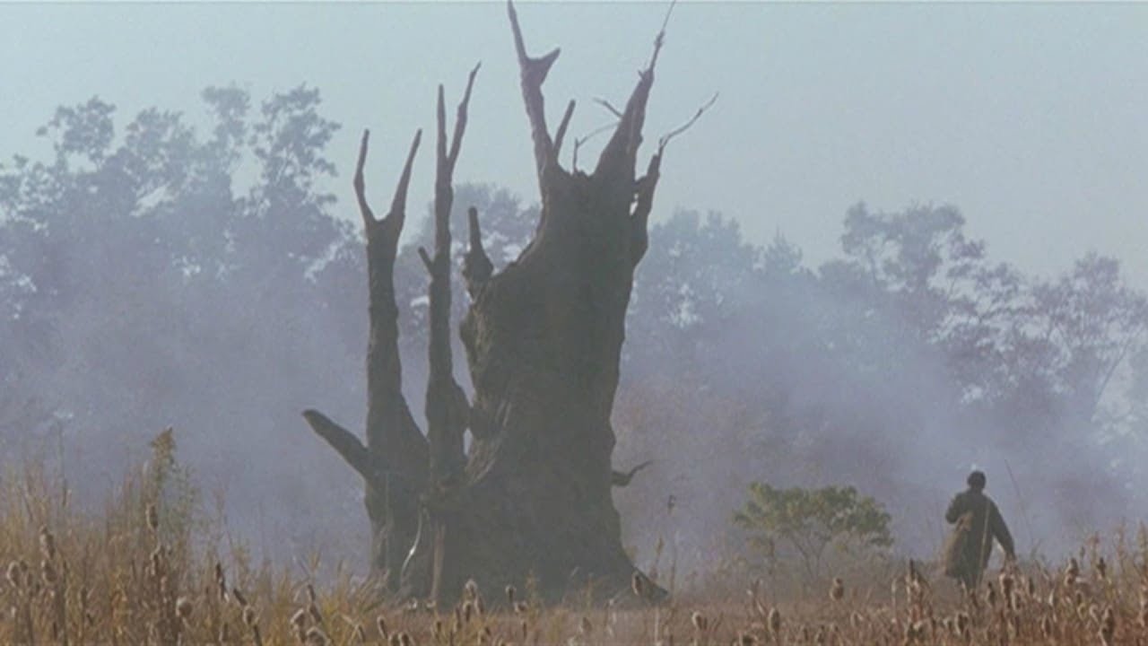 Opening Scene of film CHARISMA 1999 カリスマ - YouTube