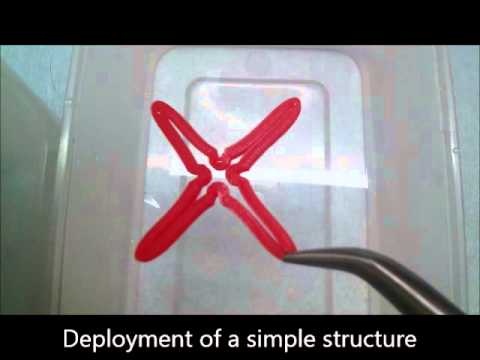 Folding unfolding of 3D printed structure - YouTube