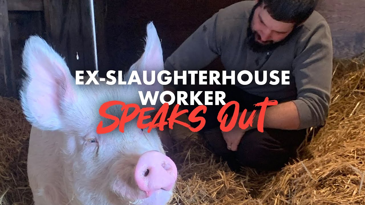 Ex-Slaughterhouse Worker Speaks Out - YouTube