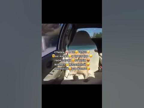 слышь я не телка не киска - YouTube