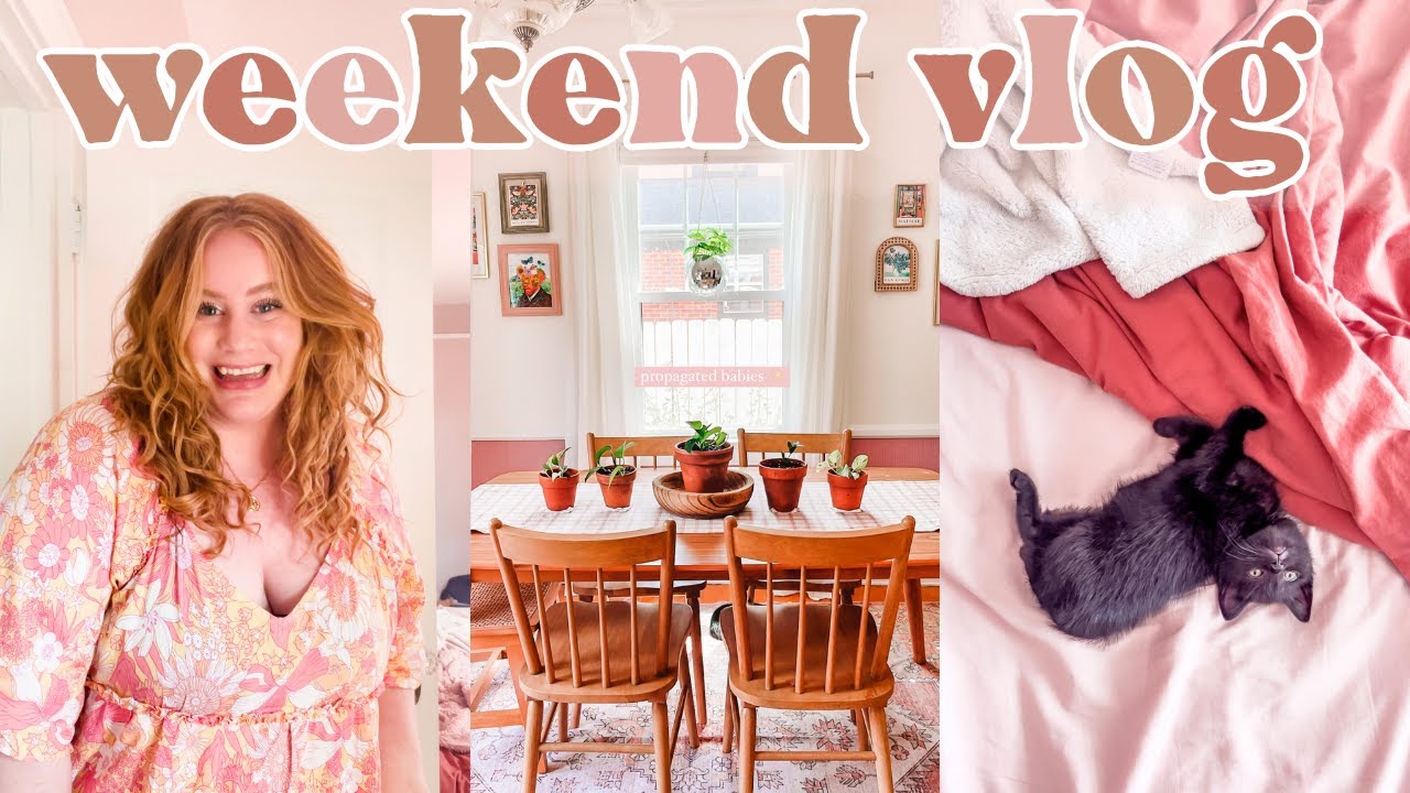 Meet our New Kitty! | A Weekend Road Trip and Transforming our Backyard ...