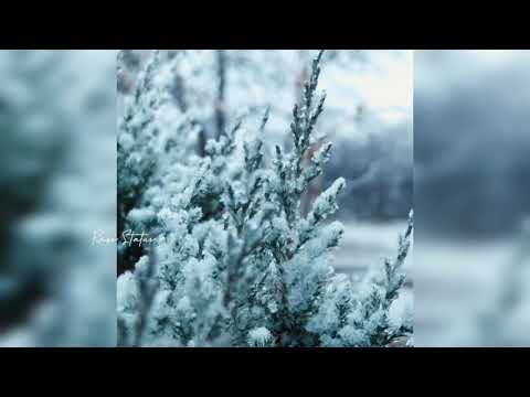 Nature Video | Best nature whatsapp status| Beautiful Nature 4k Video| Nature video