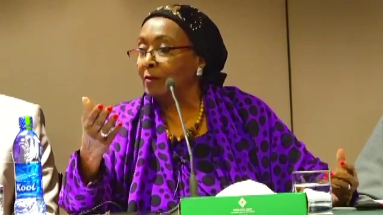 Drs Edna Aden Press Conference of independence of The Republic of ...