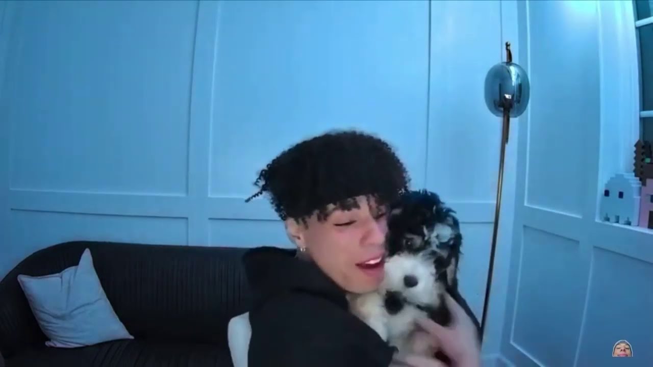 Larray’s New Puppy | YouTube live 1/31/21 - YouTube