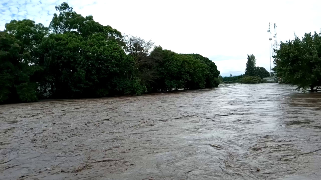 River Nyando, full to the brim. Lake Victoria is reportedly vomiting ...