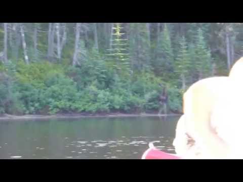 Expédition Canot-Camping Québec Péribonka - juillet / août 2016