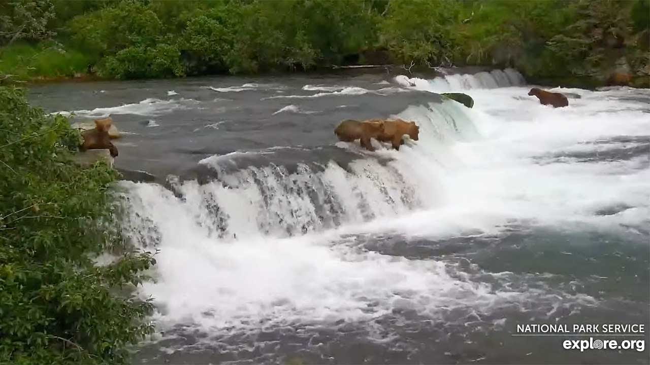 909 Junior Heads Out on the Lip with Aunt 910 - July 12, 2023 (explore ...