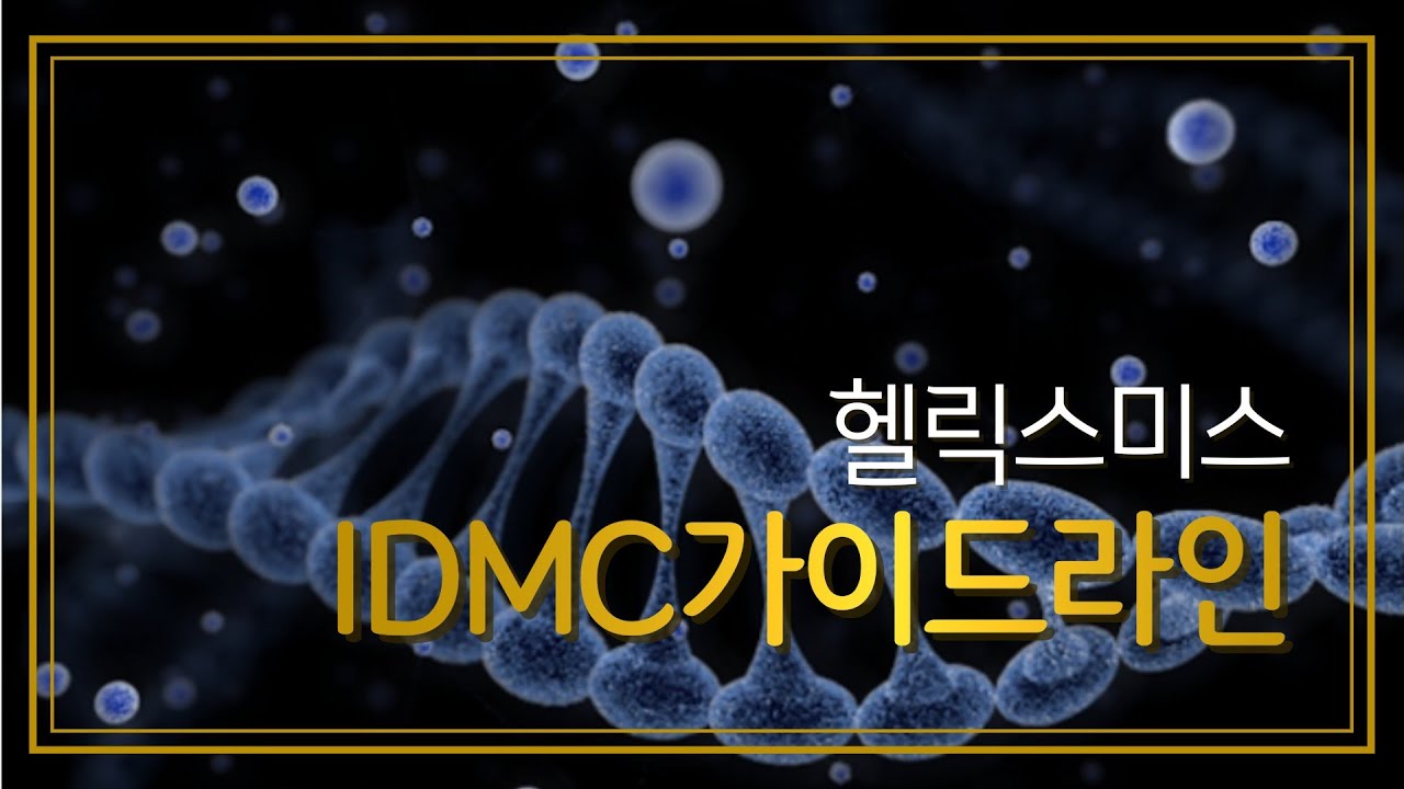 IDMC 가이드라인 - YouTube