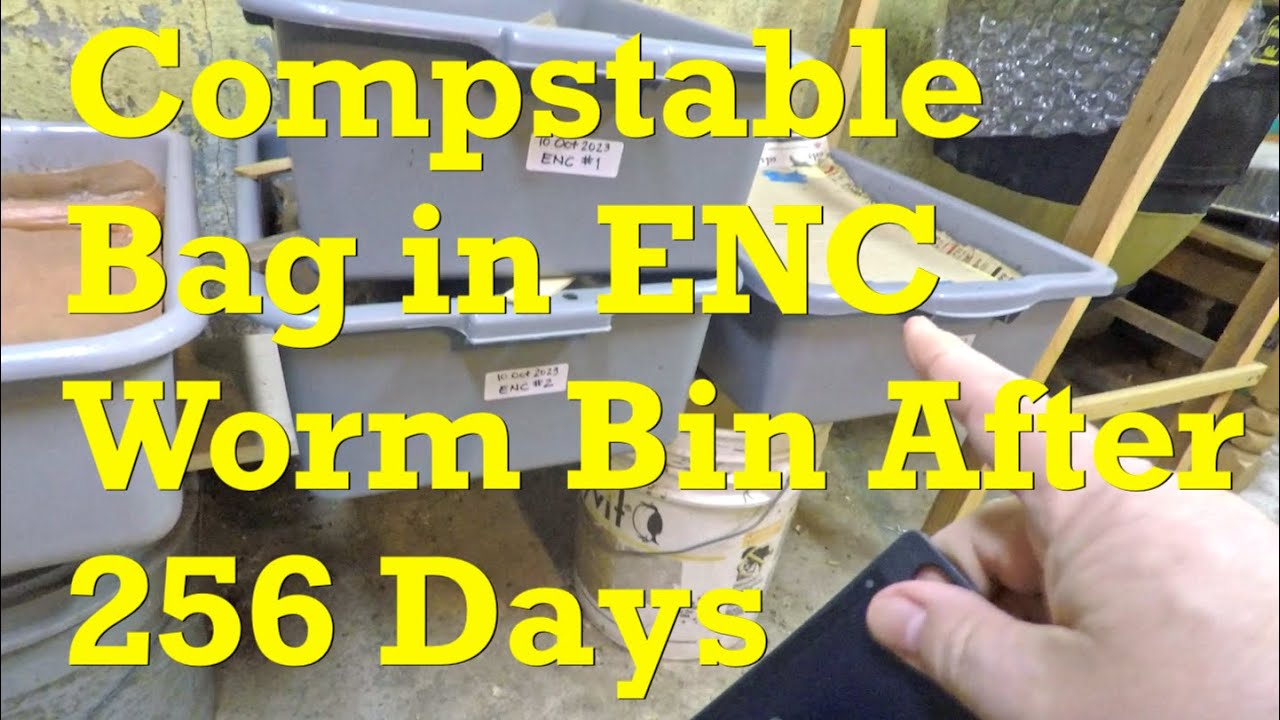 Euro nightcrawler worms with compostable bag in bin #1 - vermicompost ...