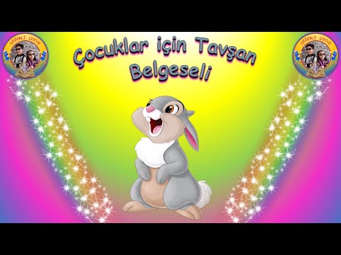 Çocuklar için tavşan belgeseli
