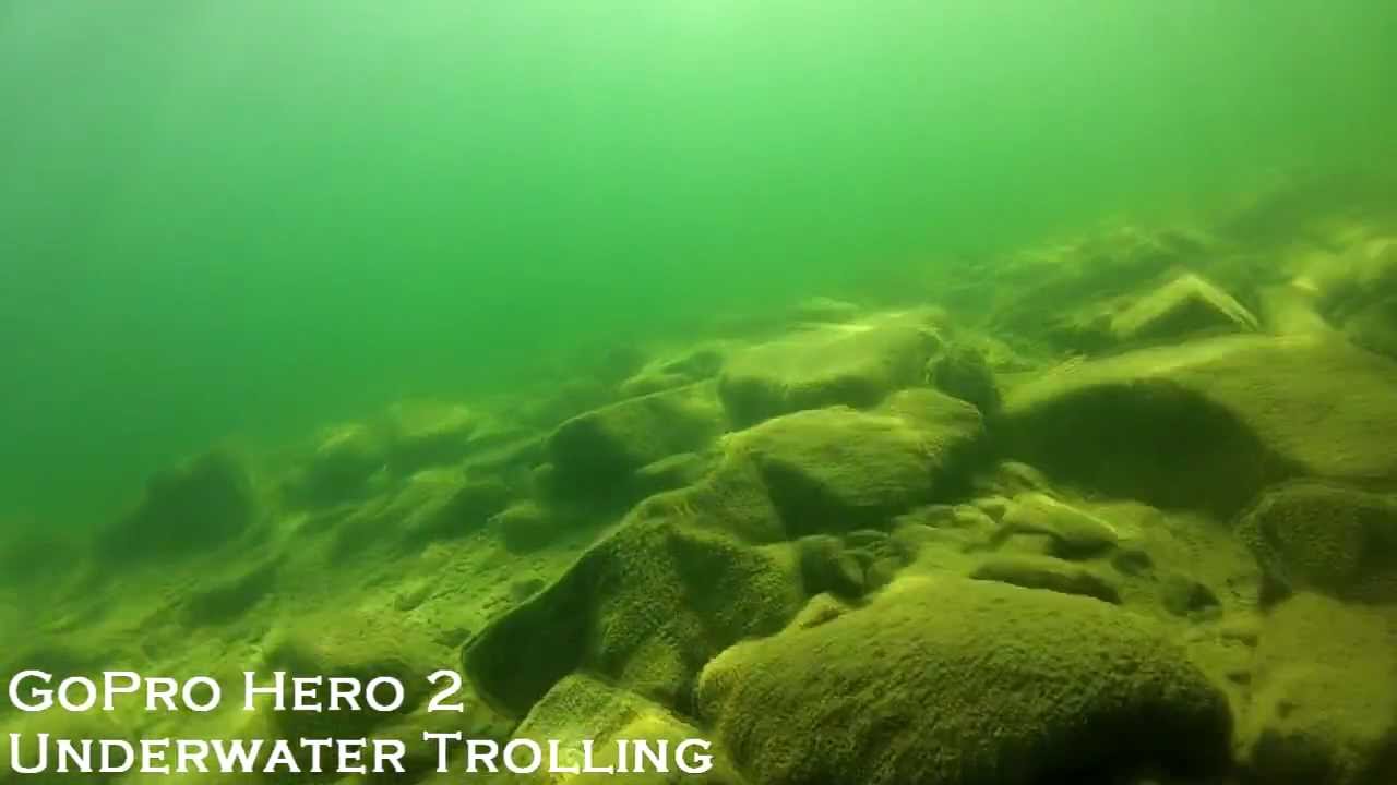 An Underwater View (Gopro trolling) - YouTube