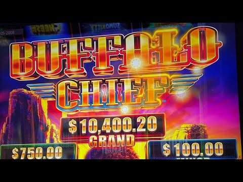 🔴BUFFALO WEEK SERIES DAY 1 🦬 DIAMOND CHIEF 🐝🦬 - YouTube