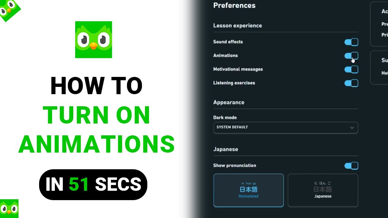 How to Turn On Animations on Duolingo [NEW] - YouTube