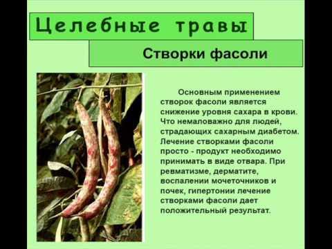 Створки фасоли - YouTube