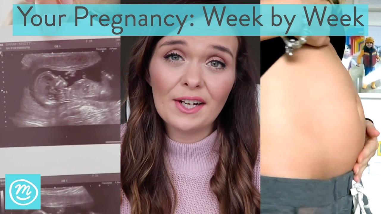 Pregnancy Week by Week: What You Need To Know | Channel Mum - YouTube