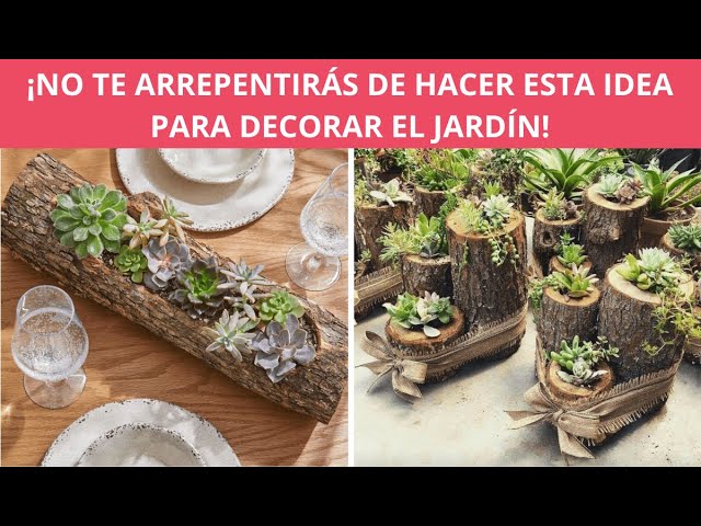 Troncos De Suculentas Para Estilo Rústico Decorar Con Suculentas Y