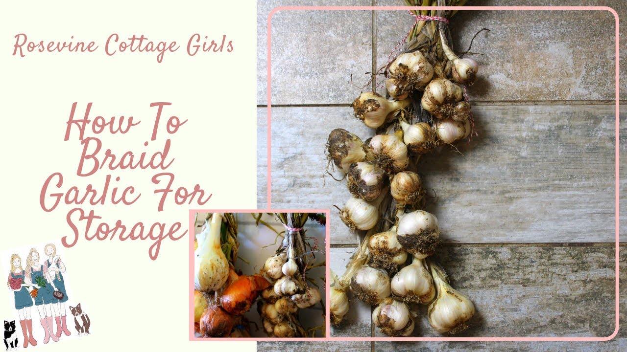 The Art of Garlic Braid: Creation & Storage Tips - YouTube