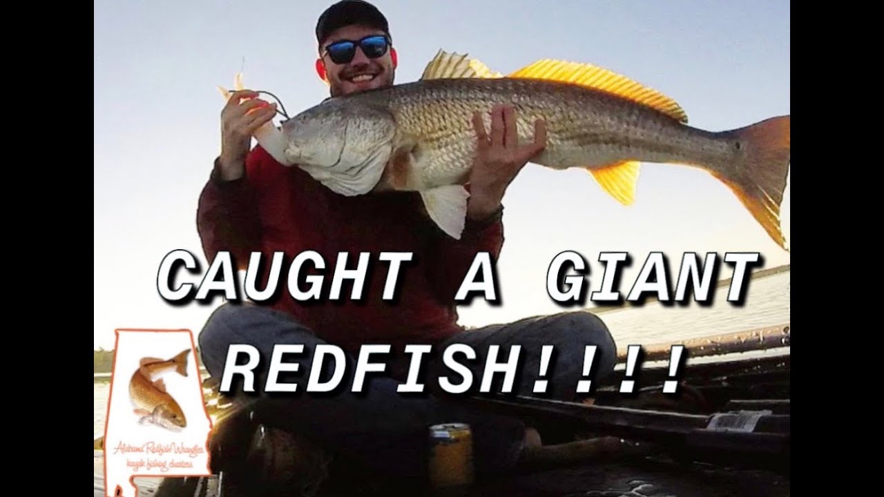 Kayak Fishing: MASSIVE BULL REDFISH!!! - YouTube