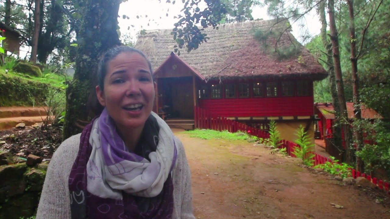 Ananda. Proyecto Healing Hands 2020 - YouTube