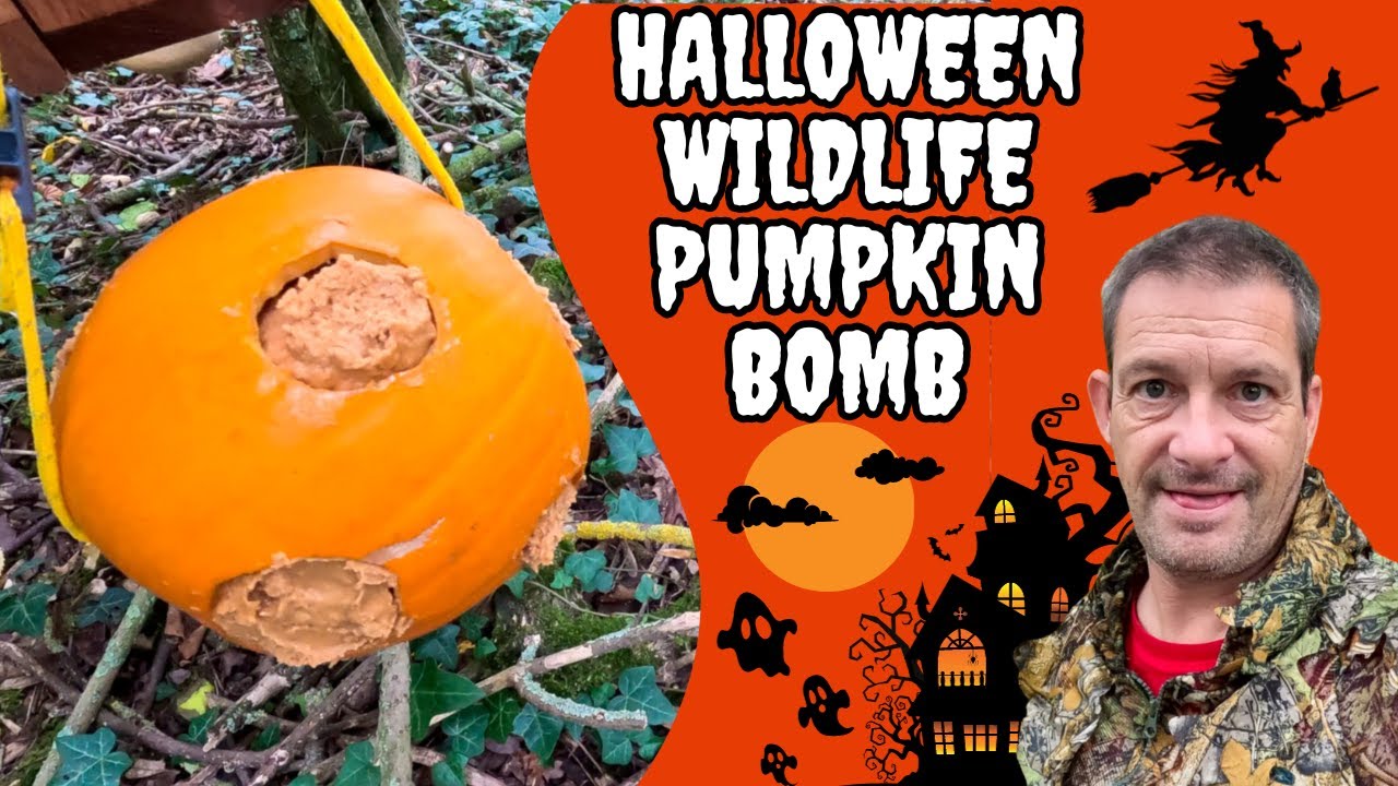 Making A Halloween Pumpkin Bomb & Wildville Party Aftermath - YouTube