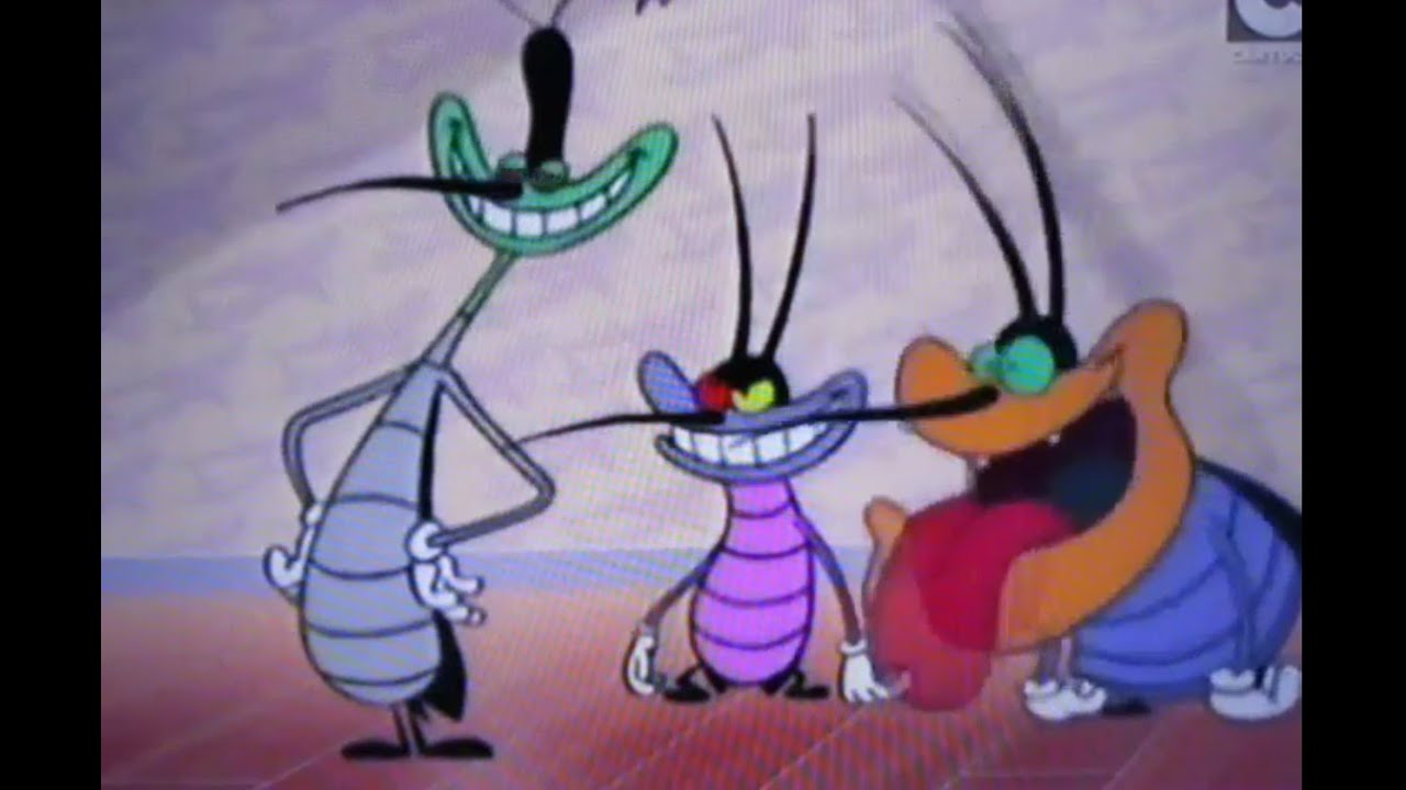 Oggy And The Cockroaches *** Happy Birthday *** - YouTube