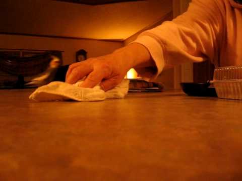 Breaker Bird runs - YouTube