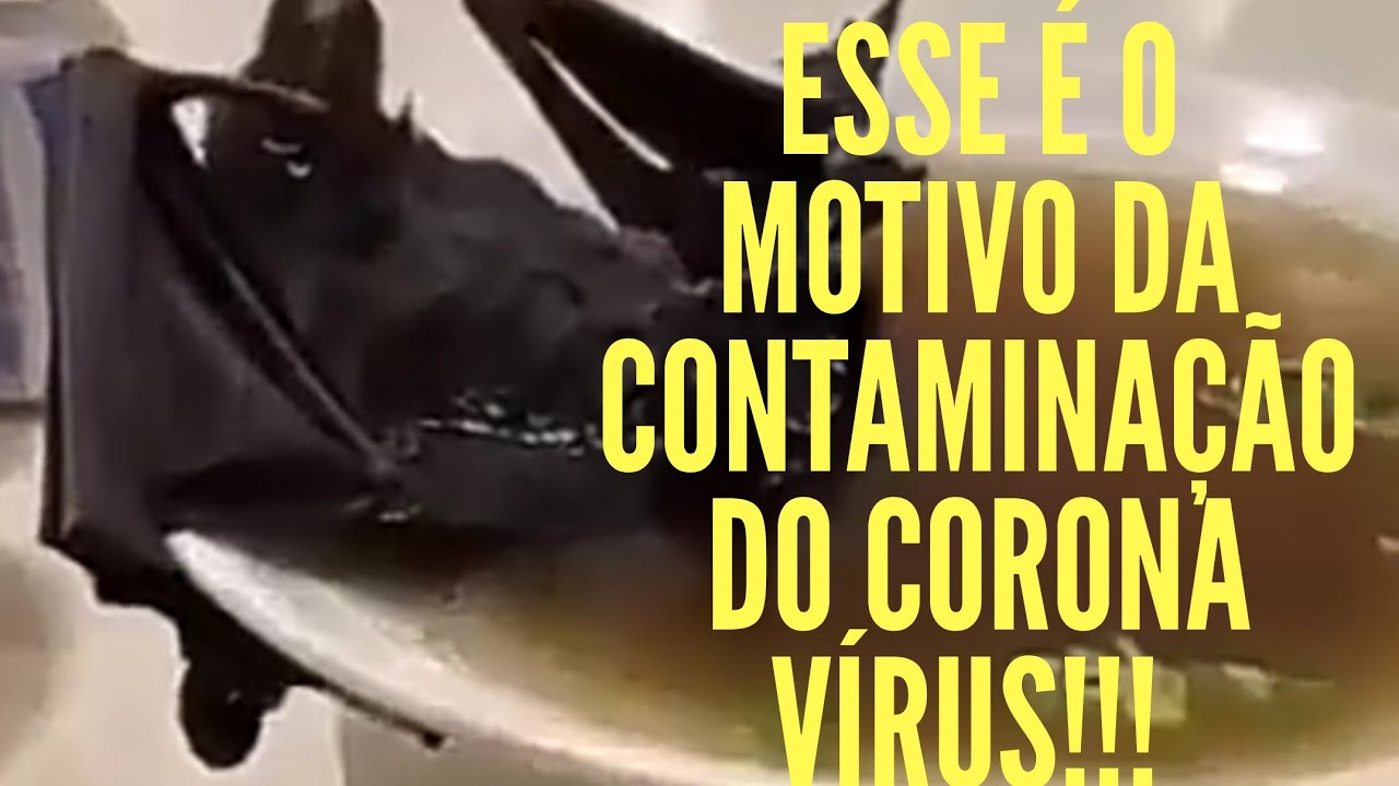 Sopa de morcego (Bat soup) - YouTube