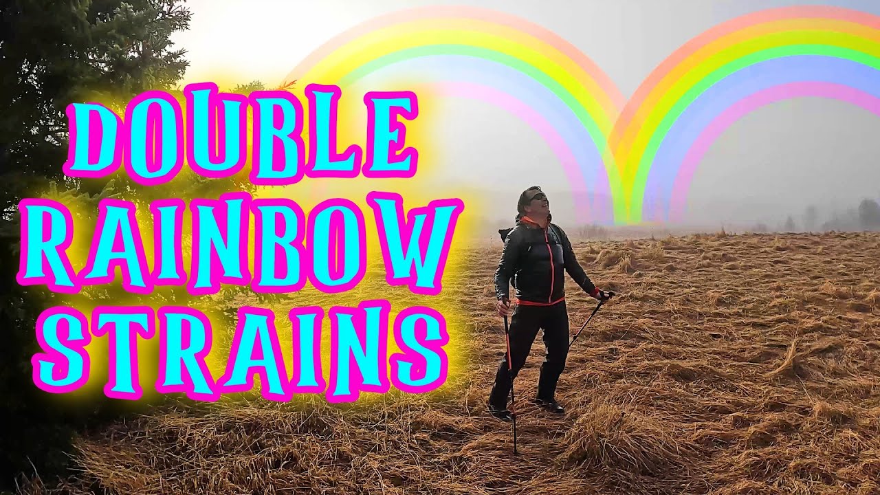 DOUBLE RAINBOW STRAINS... Rainbow Kush, scrambled eggs and Rainbow Pie ...