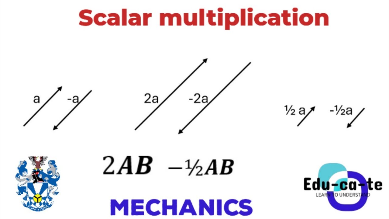 SCALAR MULTIPLICATION - YouTube