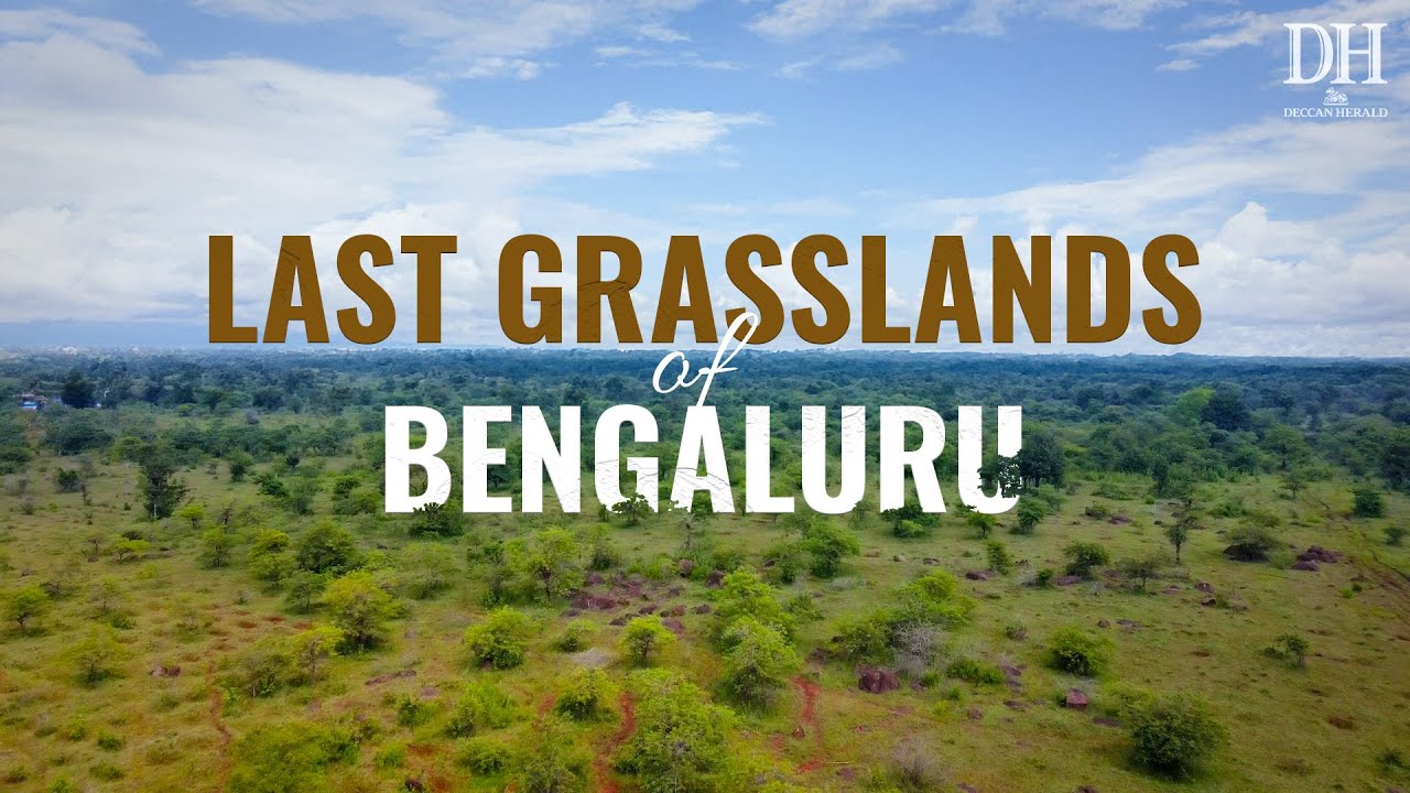 Greater Hesaraghatta conservation reserve: Why Bengaluru should protect ...