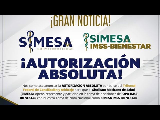 Sindicato Imss Logo