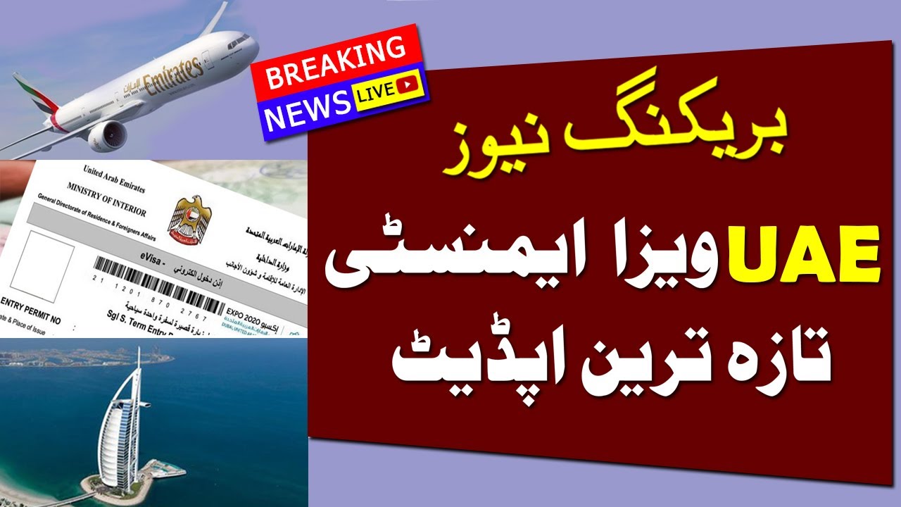 UAE Visa Amnesty 2024 Latest Update Today - YouTube