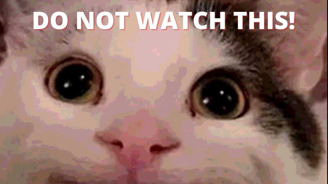 Please do not watch this video - YouTube