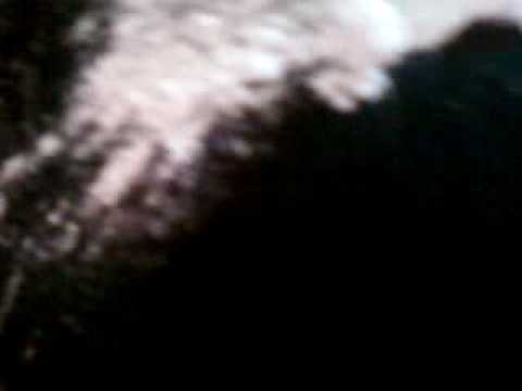 Powder Fart 1