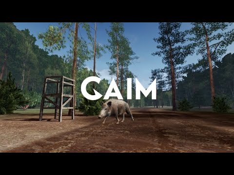 GAIM Hunting and Shooting simulator | VR shooting game on Quest 3 - YouTube