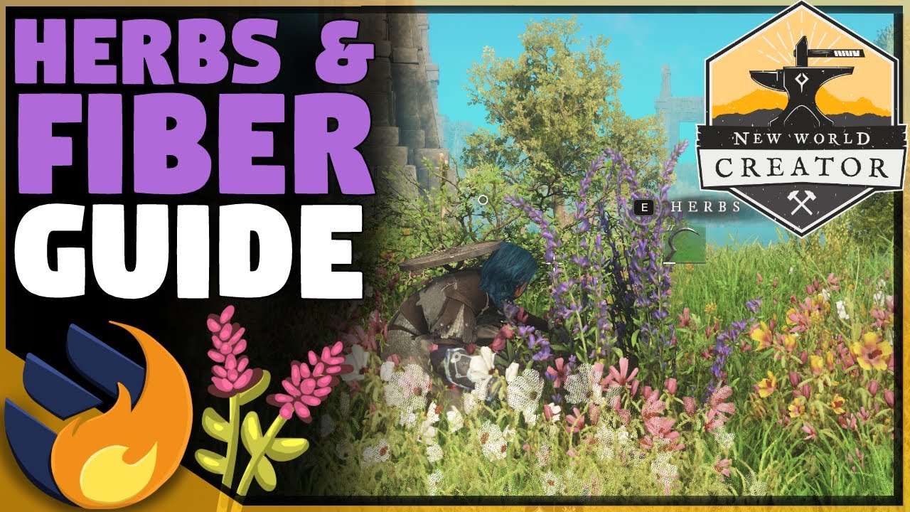 WHERE TO FIND HERBS & FIBER GUIDE | New World | - YouTube
