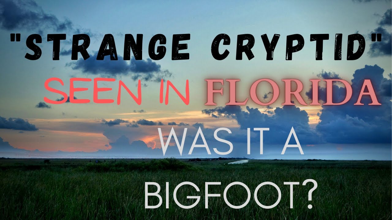 STRANGE FLORIDA CRYPTID CREATURE SEEN IN GUY'S BACK YARD! "IT WAS ...