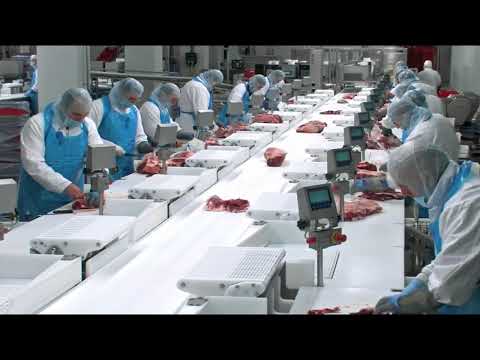 Deshuese inteligente Bovino - JBT Marel