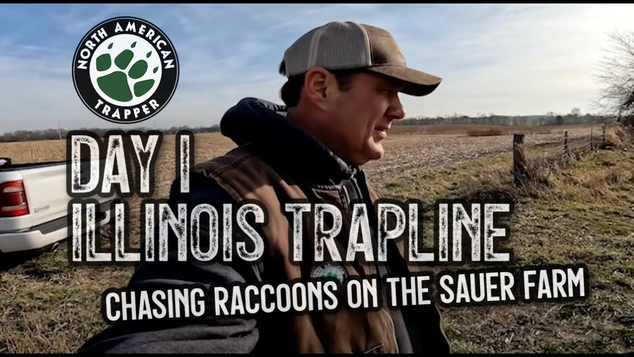 DAY #1 ~ ILLINOIS Trapline Chasing Raccoons on the Sauer Farm - YouTube